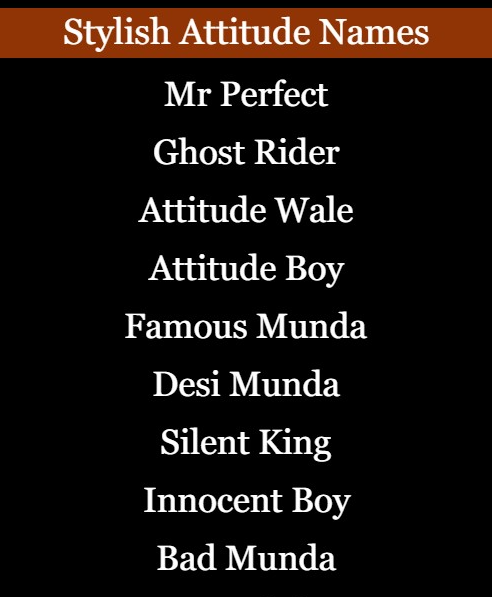 200+ Stylish Attitude Names For Instagram For Boys 2024