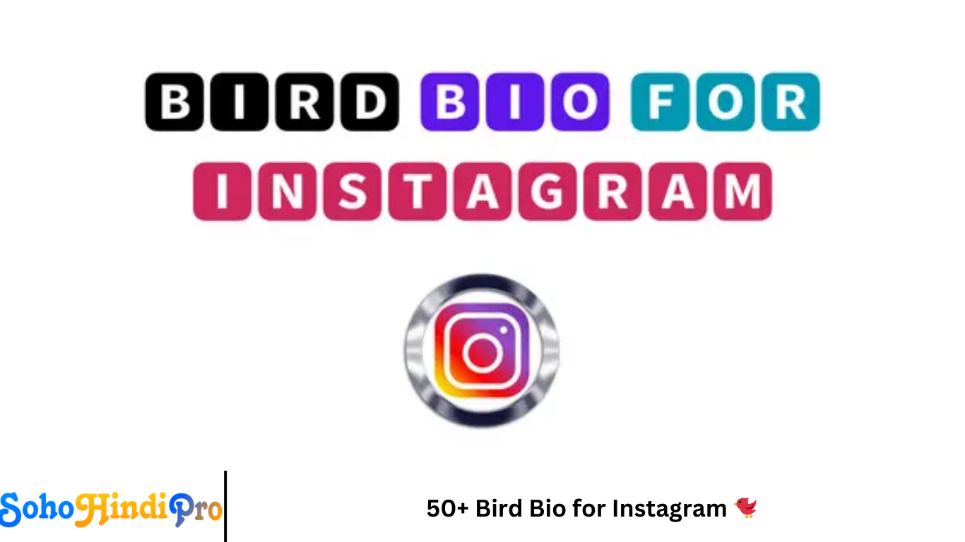 50+ Bird Bio for Instagram 🐦- SoHoHindiPro.Com