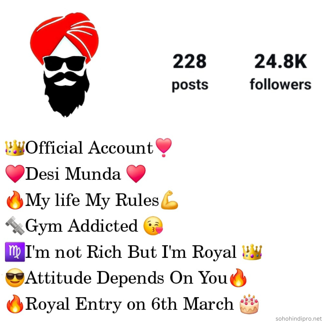 400+ Best Punjabi Bio for Instagram in Panjabi | ਇੰਸਟਾਗ੍ਰਾਮ ਲਈ ਪੰਜਾਬੀ ...